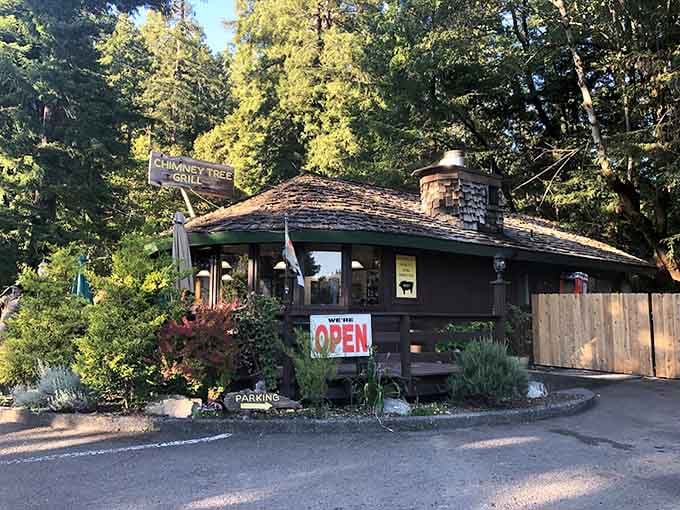 That rustic charm hits different when there's a giant hollowed redwood waiting to blow your mind just steps away.