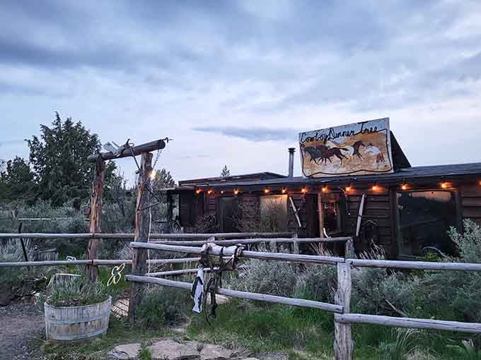 When the middle of nowhere looks this inviting, you know something magical is about to happen inside.