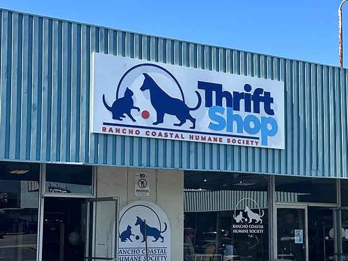 That blue and white sign isn't just marking a thrift store, it's announcing your new favorite treasure hunt headquarters.