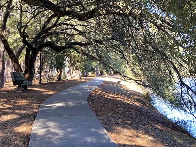 That canopy of ancient oaks creates nature's own cathedral, dappling sunlight across the peaceful waterside path below.