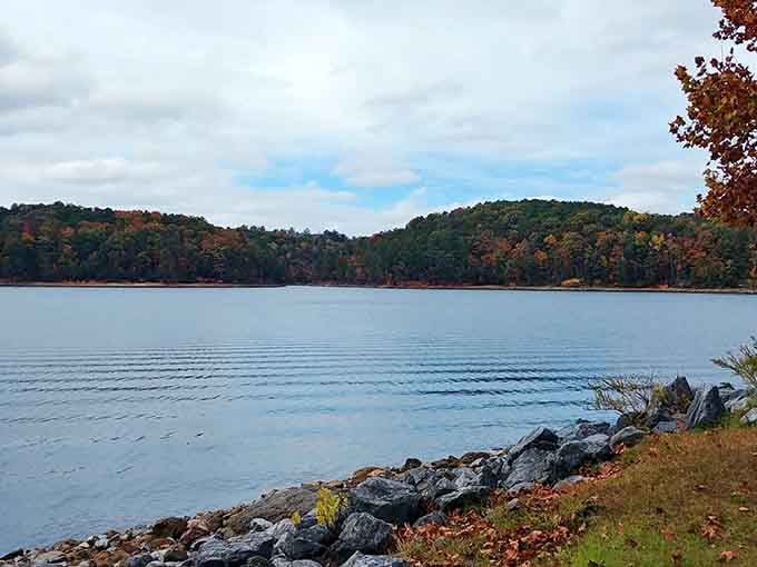 Lake views that'll make you forget your phone exists, at least until you need to photograph them.