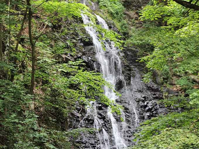Nature's own shower curtain, cascading over moss-covered rocks like something from a Bob Ross painting come to life.
