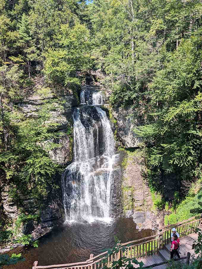 The aerial view reveals what all the fuss is about: pure cascading beauty framed by summer greenery.
