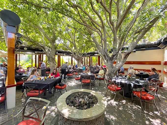That magnificent tree canopy isn't just decoration, it's the main event at this desert dining paradise.