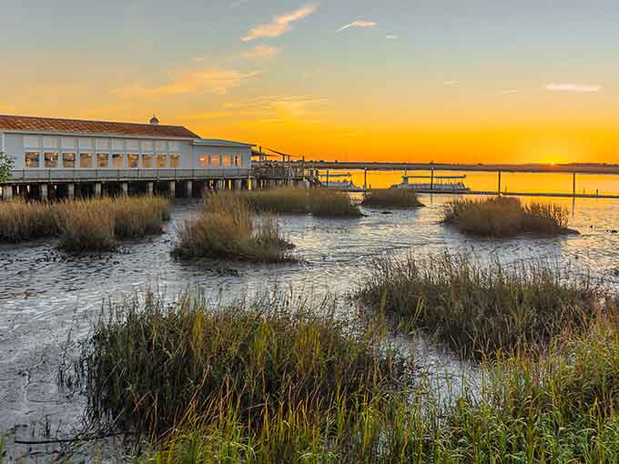 Golden hour at the marsh proves that nature doesn't need a filter to look absolutely stunning and magazine-worthy.