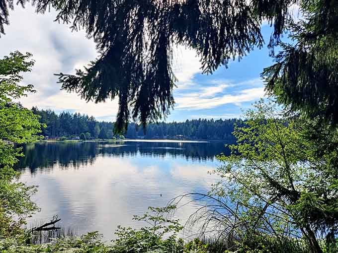 Trees framing water views like nature's own picture frame, proving Mother Nature has excellent taste in composition.