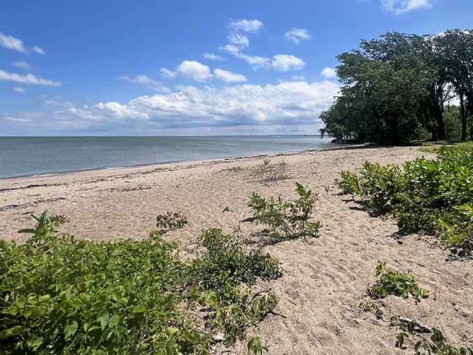 When the beach looks this pristine, you'll wonder why you ever bothered with those overcrowded tourist traps.
