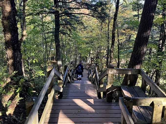Those wooden boardwalks aren't just for show; they're your ticket to waterfall views without the mud-wrestling experience.