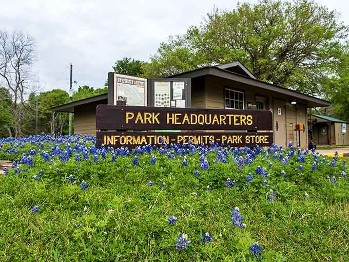 Even the park headquarters gets dressed up in bluebonnets come spring, like Texas decided to throw a floral parade.