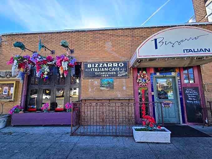 When flowers start blooming on weathered brick walls, you know you've found something wonderfully unconventional.