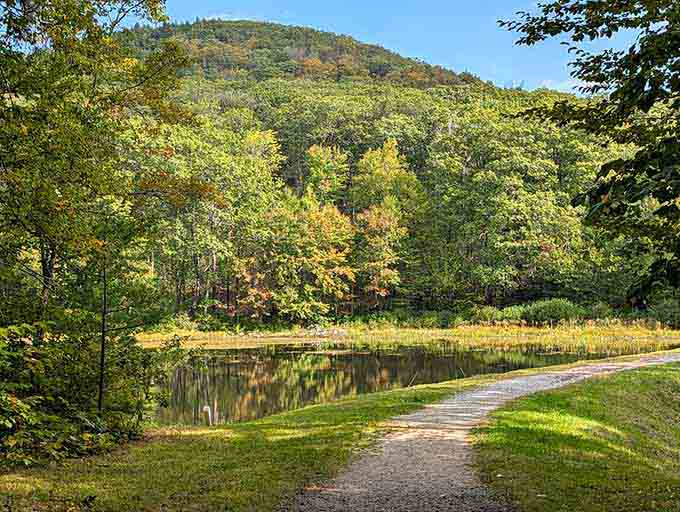 Nature's postcard moment: where the mountain meets its reflection and you remember why Massachusetts is worth exploring.