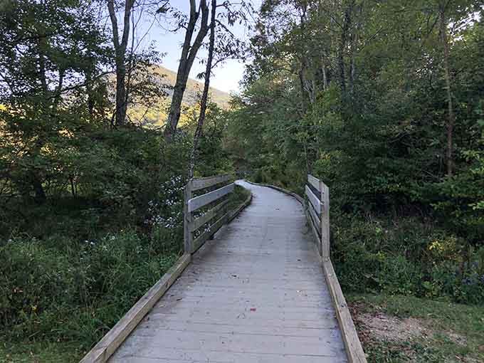 This wooden bridge curves gently into green tranquility, inviting you toward mountain views that'll make your heart skip.