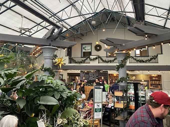 Holiday lights and tropical plants prove that sometimes the best combinations are the ones nobody saw coming originally.