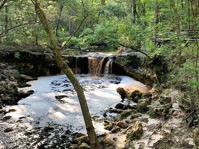 This little cascade proves Florida has more tricks up its sleeve than just beaches and theme parks.