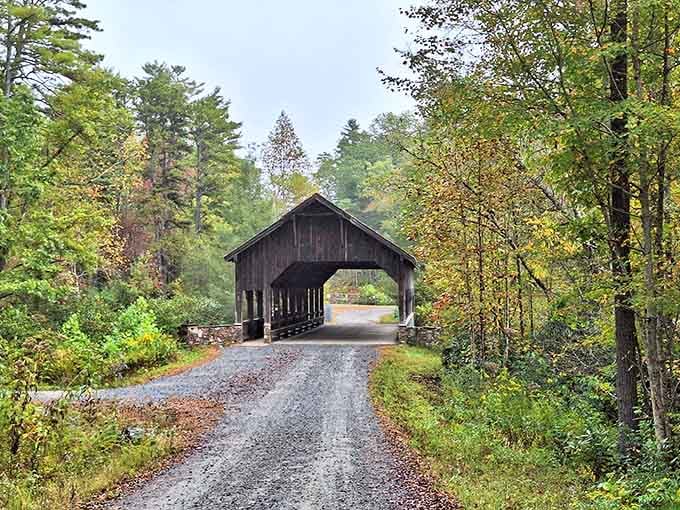 There she stands in all her weathered glory, a wooden masterpiece that makes modern bridges look positively boring.