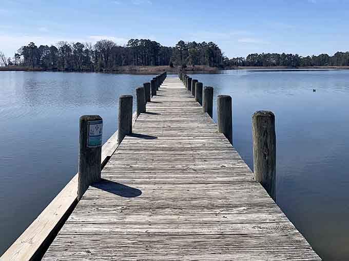 This boardwalk stretches into tranquility like a wooden highway to peace and quiet you forgot existed.