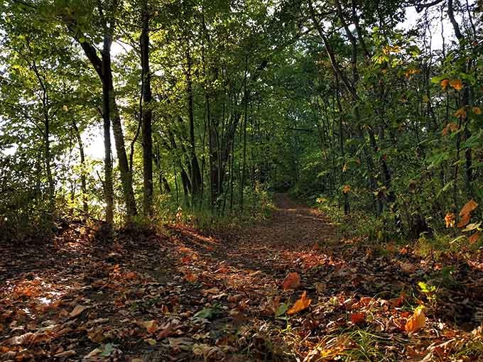 Those autumn leaves carpeting the trail aren't just pretty&mdash;they're nature's welcome mat to something extraordinary.