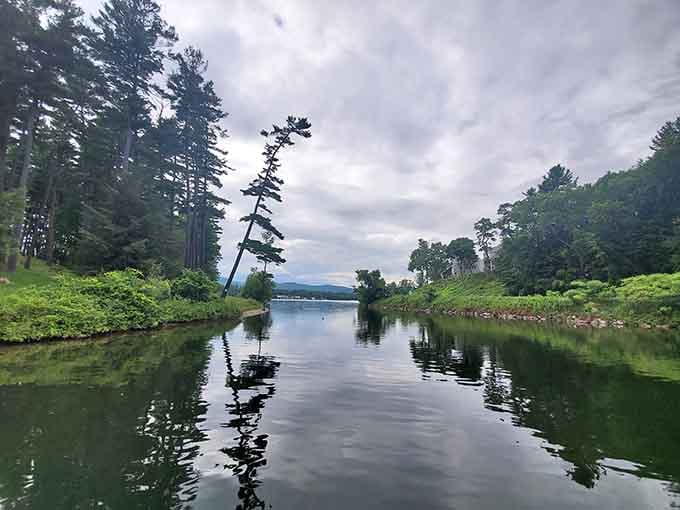 When the water gets this still and reflective, you're basically getting two landscapes for the price of one.