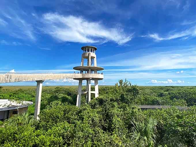 Rising from the sawgrass like Florida's answer to Seattle, minus the coffee snobbery and perpetual drizzle.