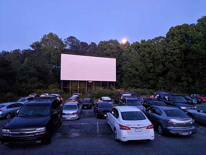 The moon rises as the crowd gathers, because the best movies start when nature provides its own opening act.