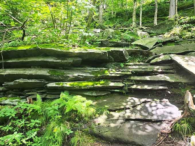 These moss-covered steps lead upward through green tunnels that make every climb feel like a fairy tale adventure.