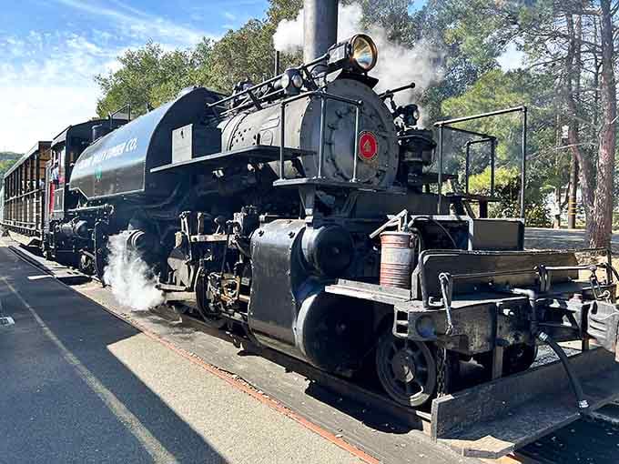 When a century-old locomotive looks this good at the station, you know someone's been treating her right.