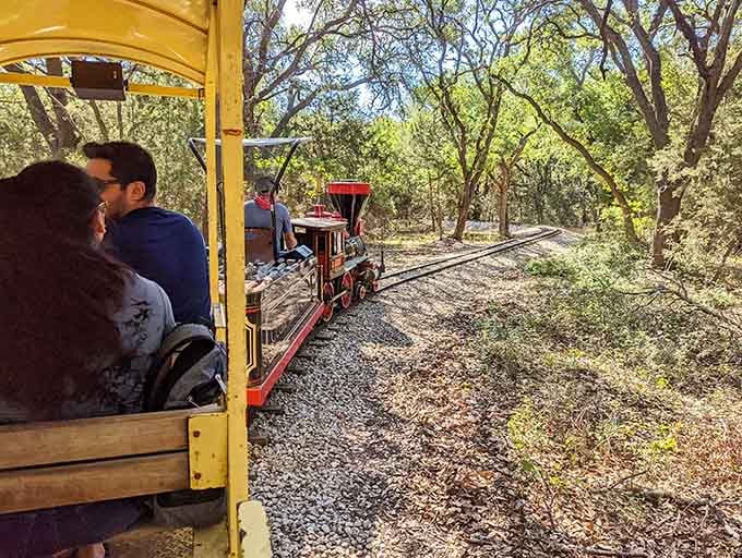 When the trees blur past and the breeze hits your face, suddenly nobody's asking "are we there yet?"