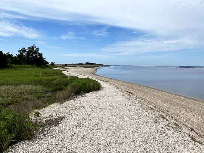 This shell-covered shoreline stretches peacefully along Jekyll Island's northern tip, waiting to reveal its ancient secrets.