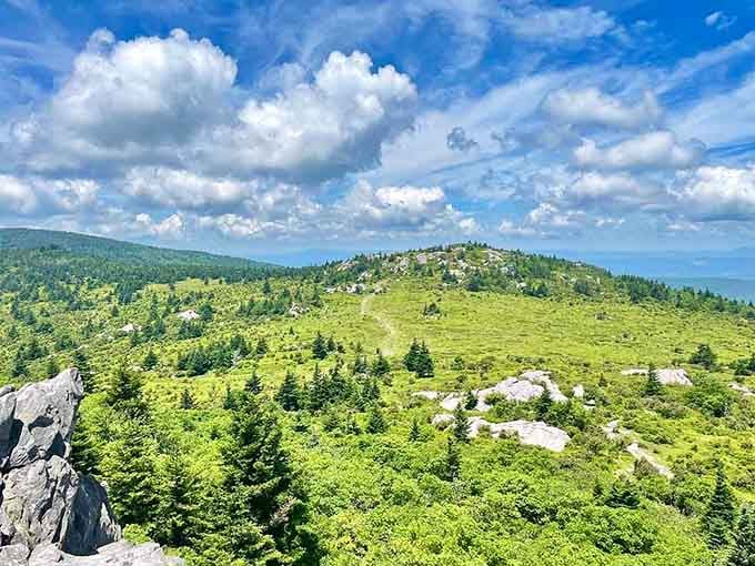 When the view looks this good, you start understanding why people write poetry about mountains and fresh air.