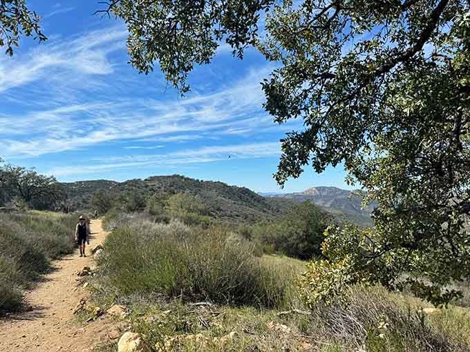 The trail begins with promise, winding through golden grasslands where every step feels like entering California's wild heart.