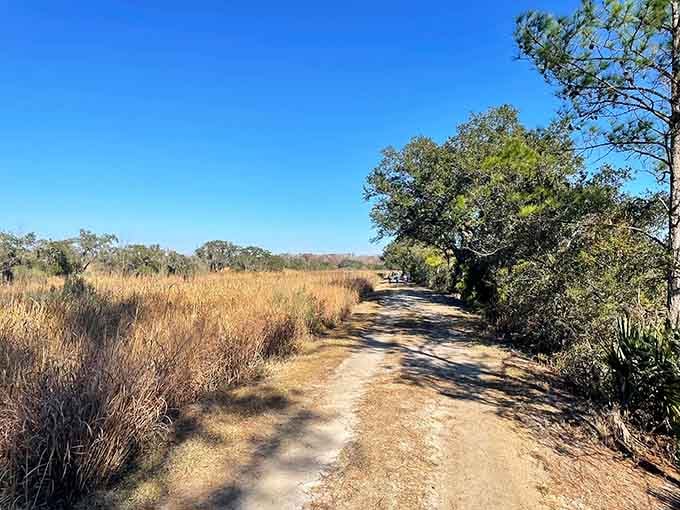 This trail knows how to make an entrance, stretching out before you like nature's own red carpet.