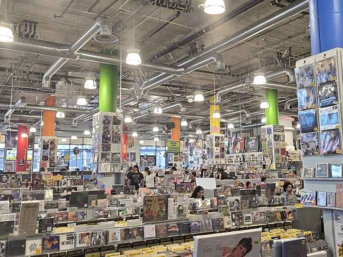 Rows of musical treasure stretch toward the horizon like the world's most beautiful library, only better because everything here has a soundtrack.