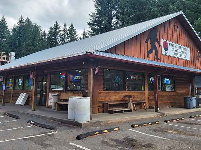 Nestled among towering evergreens, this rustic gem proves the best destinations require a little adventure to reach.