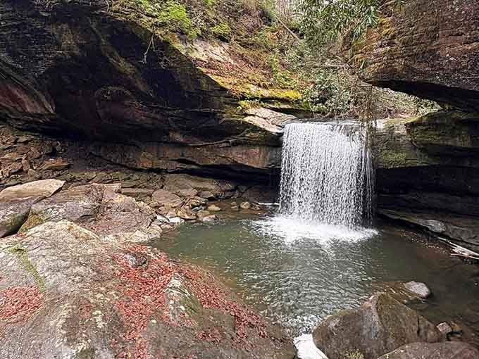 This cascading beauty proves Kentucky knows how to make an entrance, even with an unfortunate name.