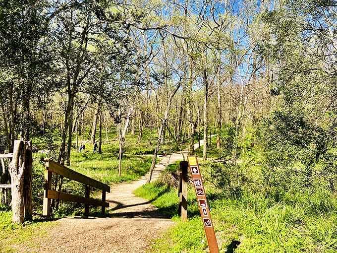 Even the park headquarters gets dressed up in bluebonnets come spring, like Texas decided to throw a floral parade.