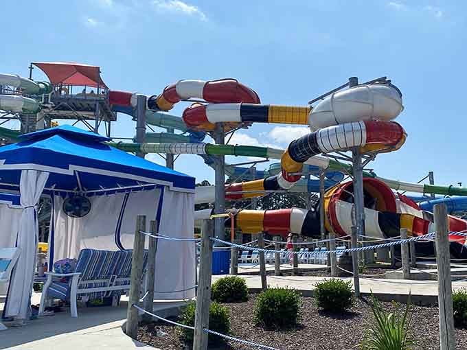 Those twisting, turning slides aren't just colorful, they're your ticket to feeling like a kid again.