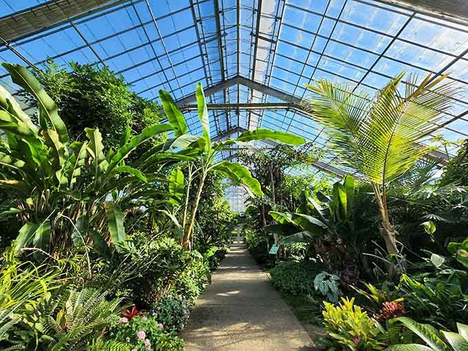 Step inside this glass paradise where Michigan winter becomes a distant memory among tropical palms.