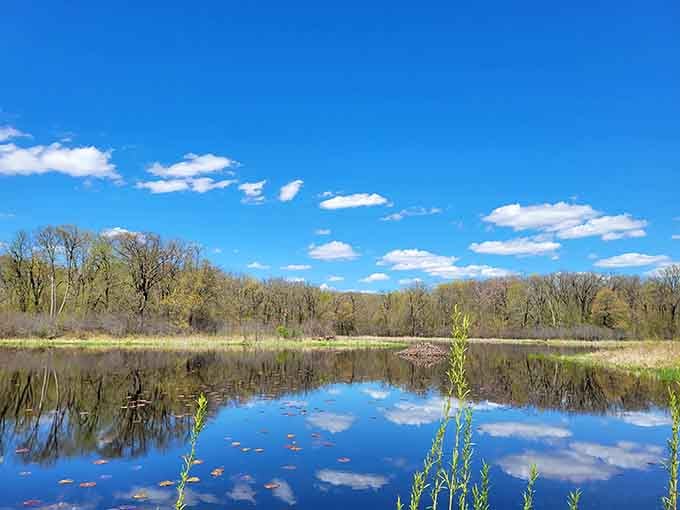 Mirror-perfect reflections that'll make your Instagram followers wonder if you secretly became a professional photographer overnight.