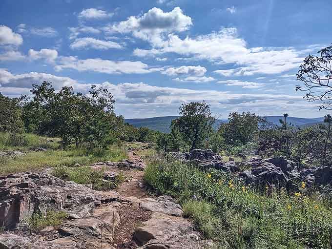 Ancient volcanic rock meets endless green forest at Missouri's highest point, proving flatland stereotypes delightfully wrong.