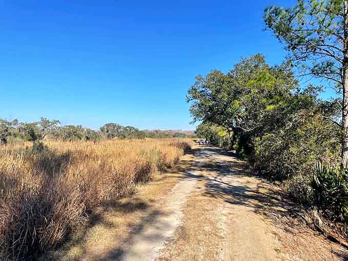 This trail knows how to make an entrance, stretching out before you like nature's own red carpet.
