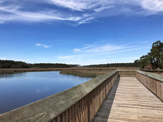 That observation deck isn't just showing off, it's giving you front-row seats to nature's greatest show.