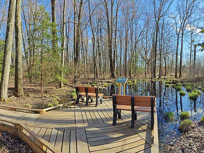 These benches offer front-row seats to nature's daily show, where the only admission fee is your time.