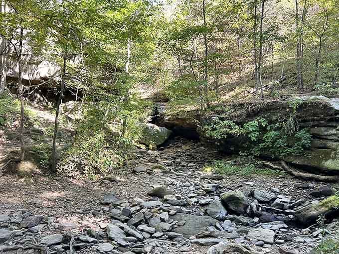 The rocky streambed along Rebman Trail showcases the beautiful sandstone formations that make this hike so special and surprisingly scenic.