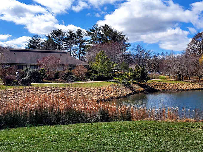 This tranquil pond and surrounding landscape prove that Illinois has more surprises than a mystery novel.