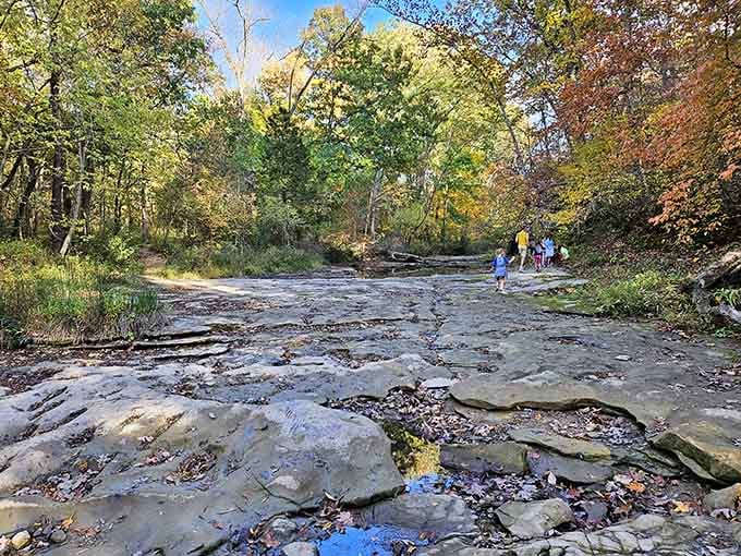 The exposed limestone creek bed showcases the park's unique karst topography while fall colors paint the surrounding forest in brilliant hues.