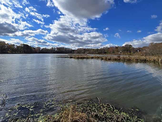 Those dramatic clouds reflected in calm water create a scene so peaceful, you'll forget your phone exists.
