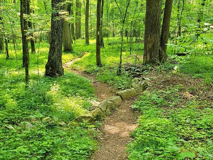 The trail welcomes you with gentle terrain before revealing its true personality further up the mountain.