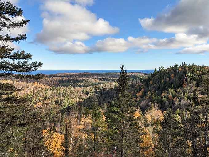 When the forest meets the sky and Lake Superior peeks through, you've found Minnesota's secret overlook paradise.