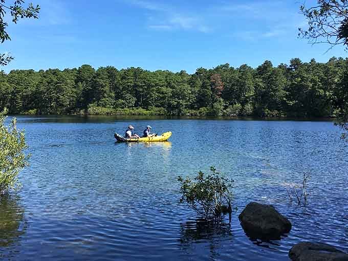 Paddling across tranquil waters surrounded by forest feels like starring in your own nature documentary minus the camera crew.