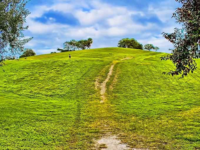 That emerald carpet stretching skyward looks more like Ireland than South Florida, proving even the Sunshine State dreams big.